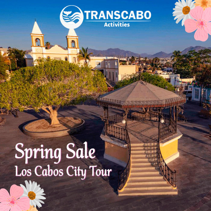 Cabo airport transportation | Private and Shuttle transfers at SJD