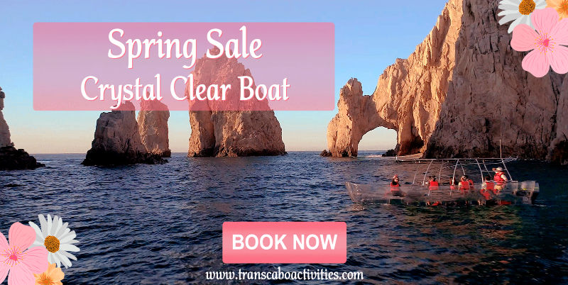 Cabo airport transportation | Private and Shuttle transfers at SJD